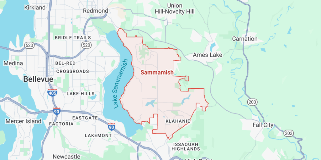 Sammamish Investment and Securities Fraud | Securities Attorneys at Law ...