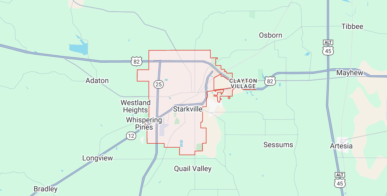 Starkville Investment and Securities Fraud | Securities Attorneys at ...